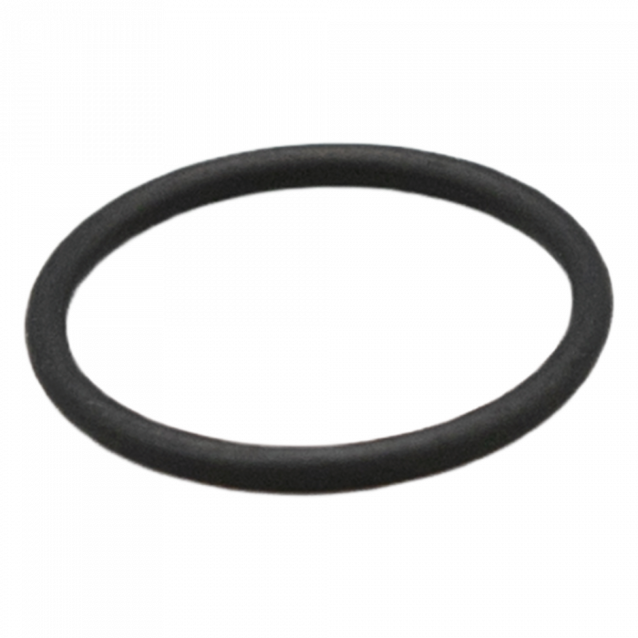 Reaction Vessel O-ring