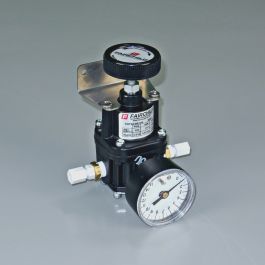 Low Pressure Regulator Assembly