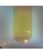 Discover Camera Drivers